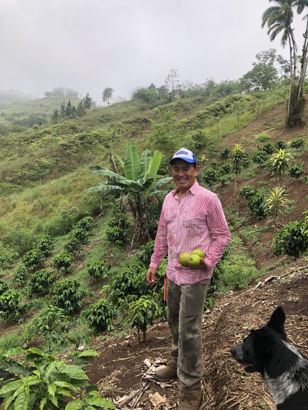 Walter Robles - Zwartekoffie